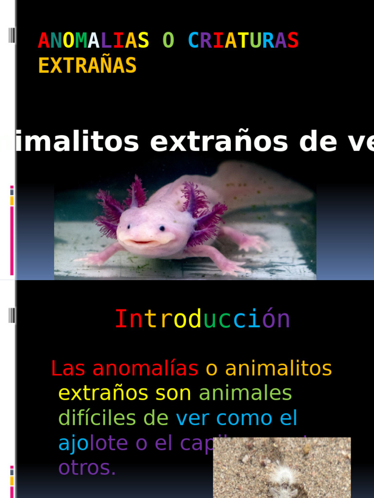 Criaturas Extrañas | PDF | Ciencia y matemáticas