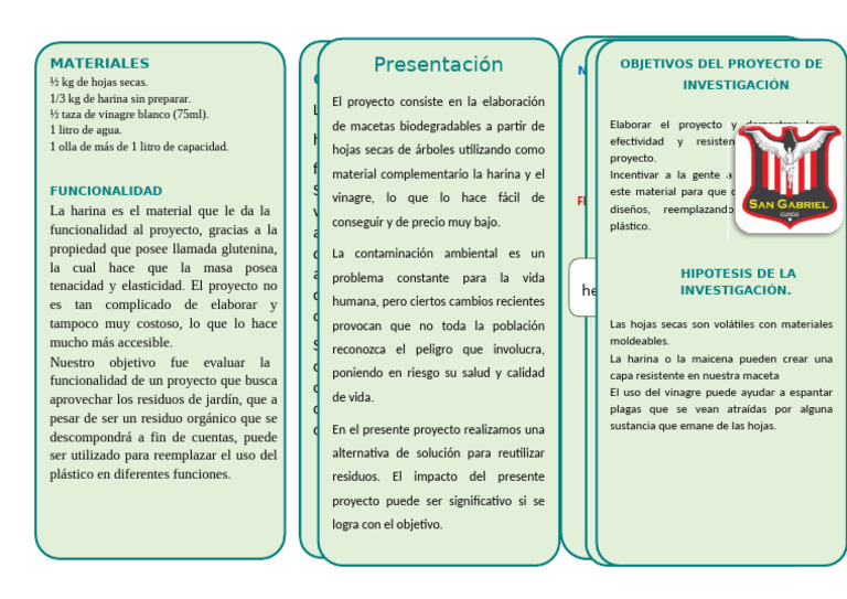Triptico Proyecto 2024-I | PDF