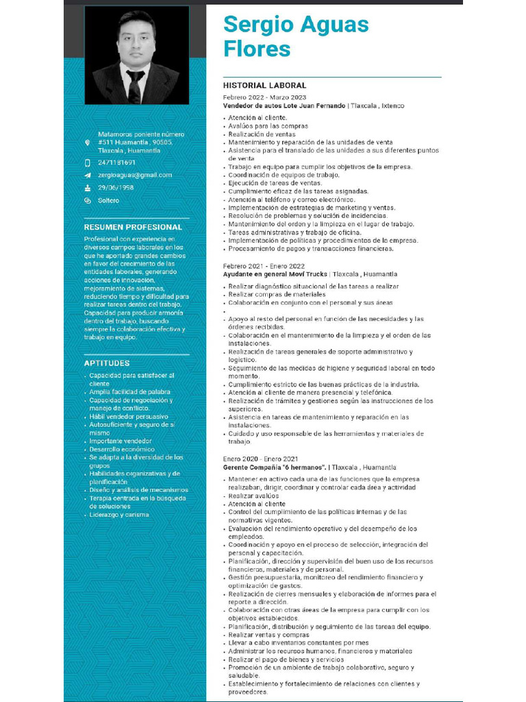 Curriculum Sergio Aguas Flores | PDF