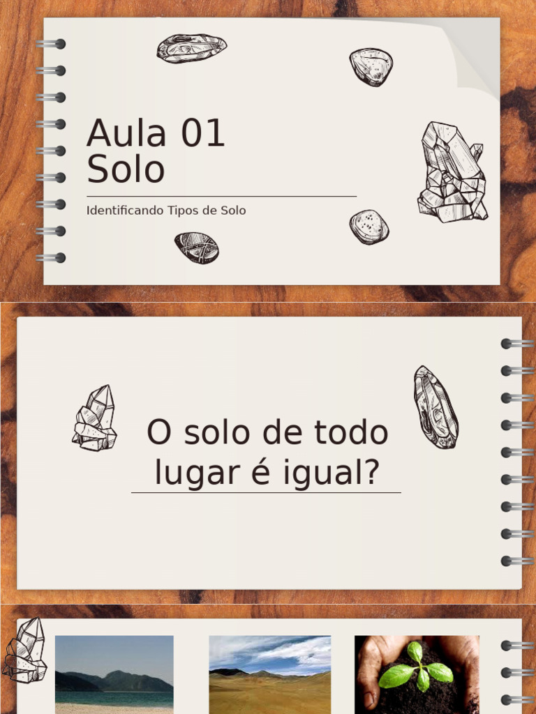 O Solo | PDF
