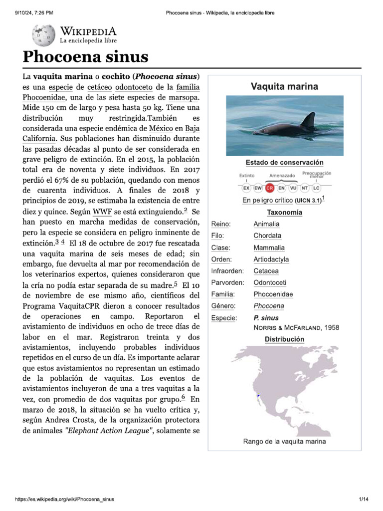 Phocoena Sinus | PDF