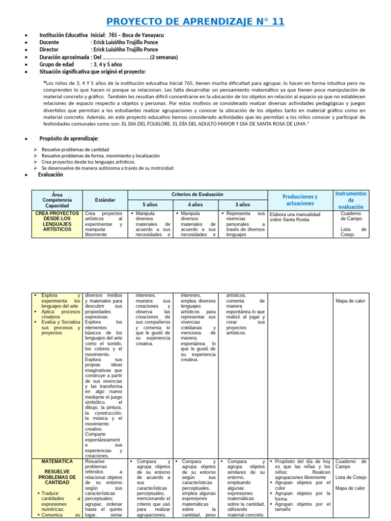 PROYECTO DE APRENDIZAJE N° 11 | PDF
