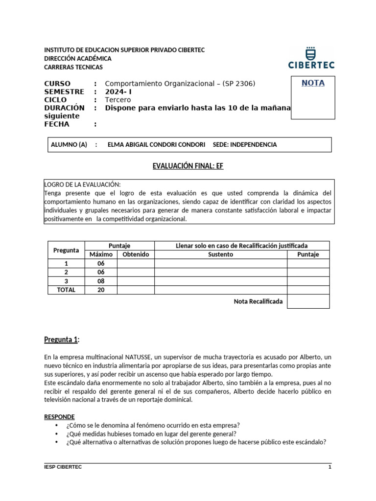 2306 - C. - Organizacional - EF - Noche - Angeles Lucas, Jorge | PDF
