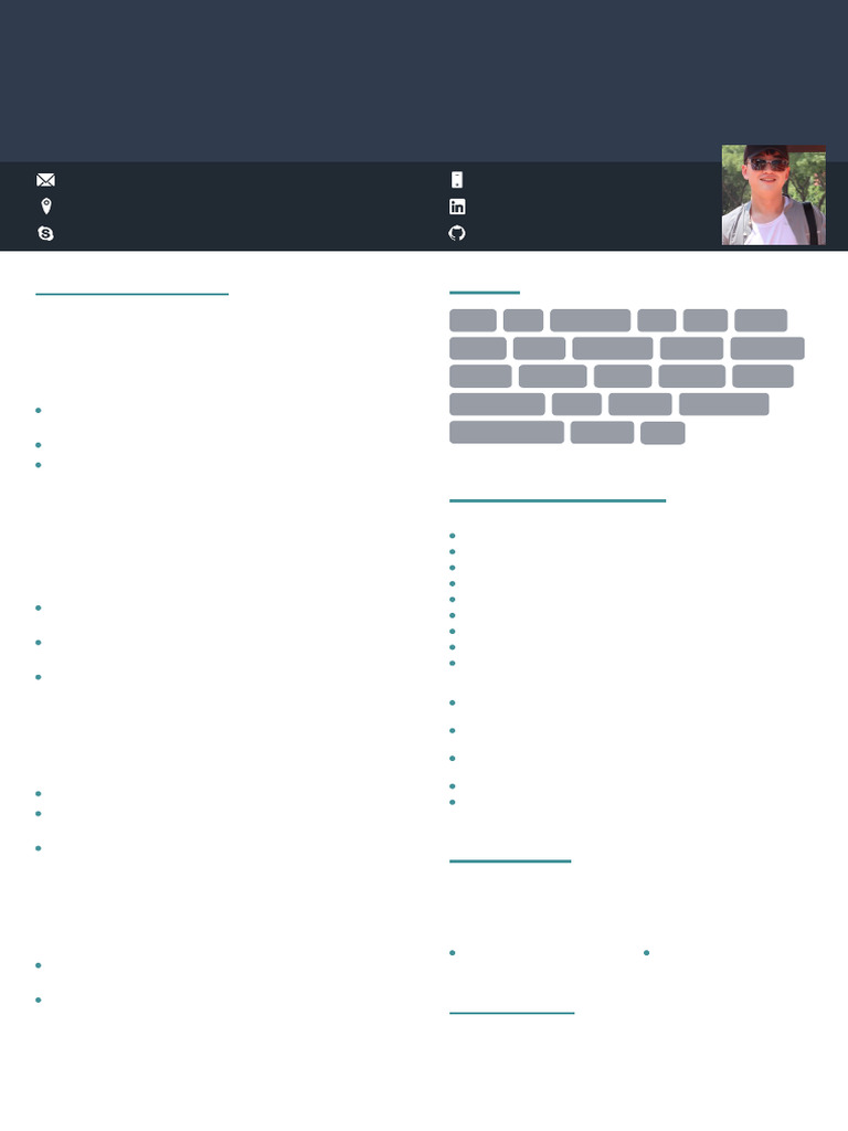 software developer | PDF