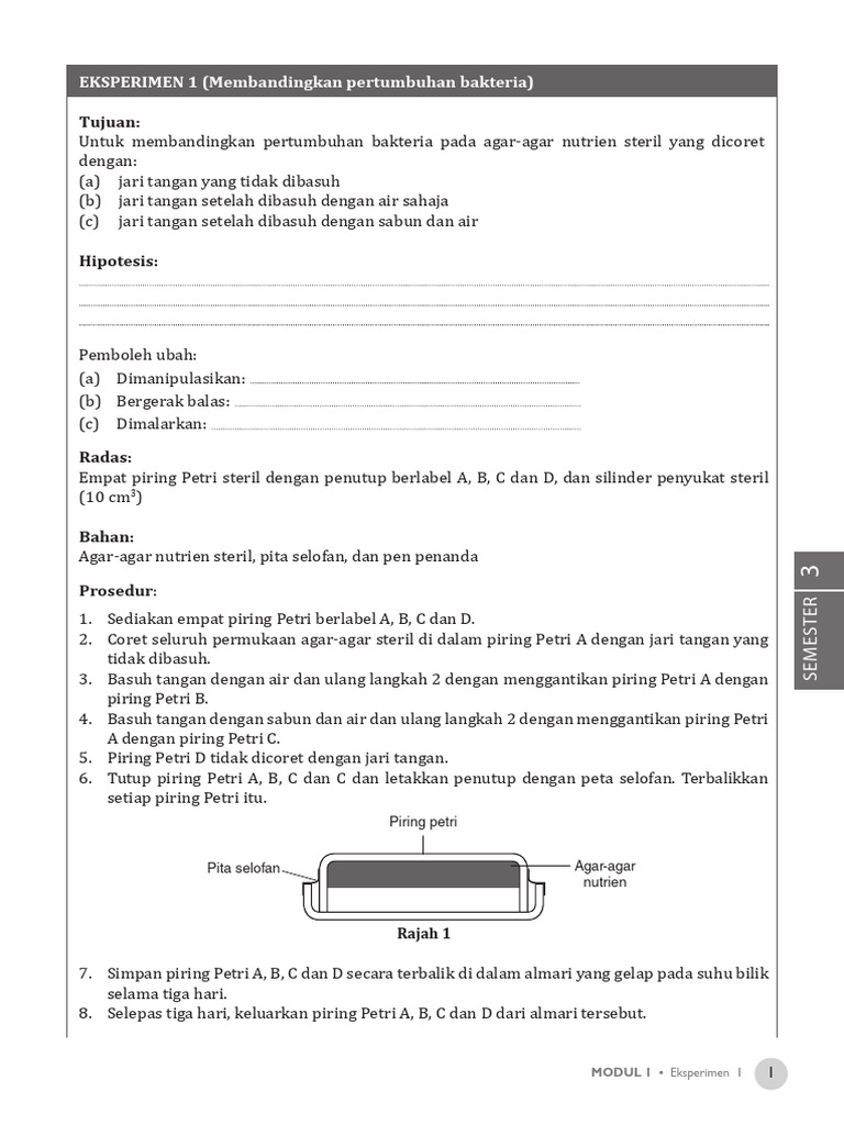 Eksperimen 1 Modul 1 Sem 3 (KV Sains T2) | PDF