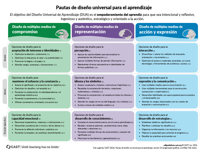 Dua Actualización de Pautas 2024 | PDF | Diseño | Procesos mentales