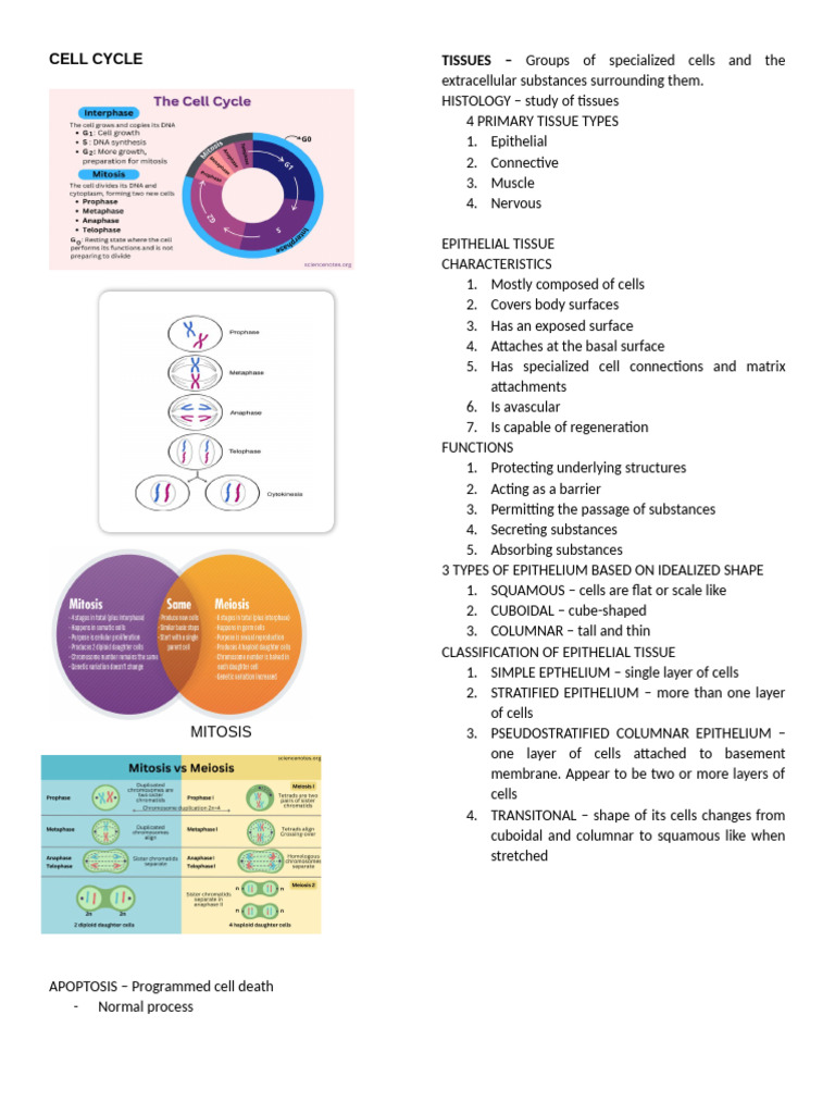Tissue Infla Heal | PDF