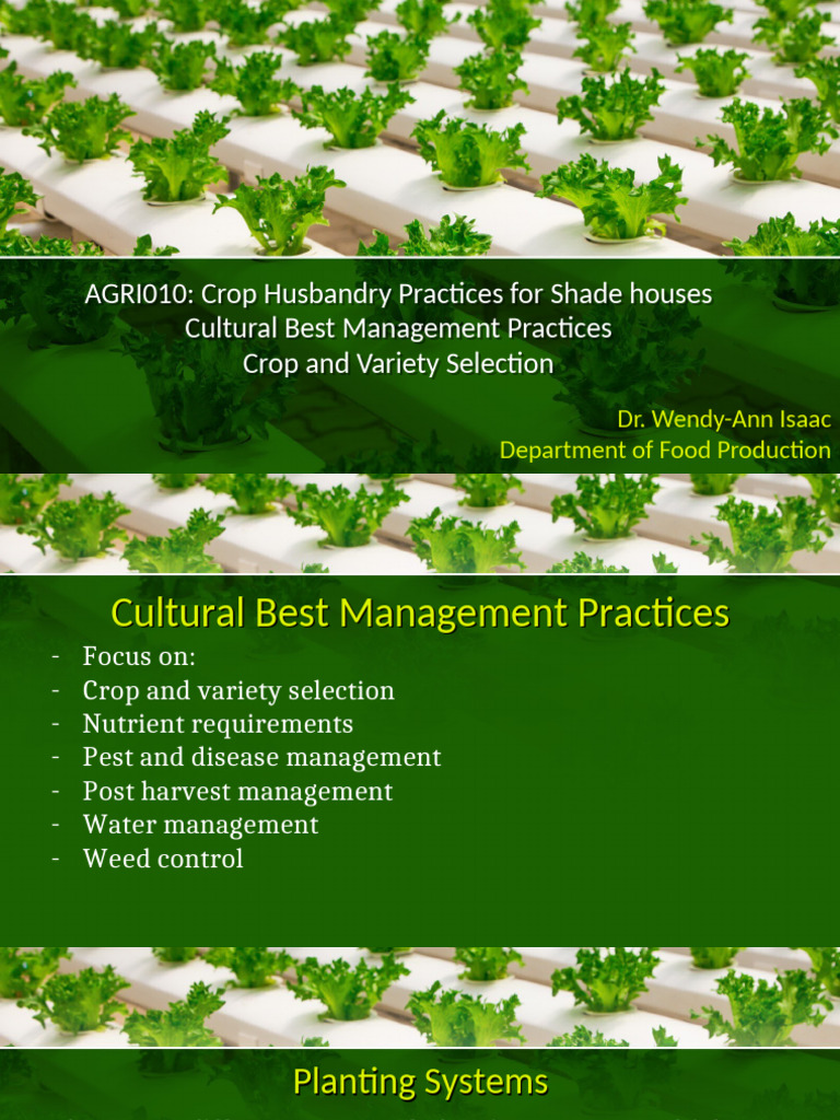AGRI010 Shade House Crop Husbandry Lecture | PDF | Lettuce | Hydroponics
