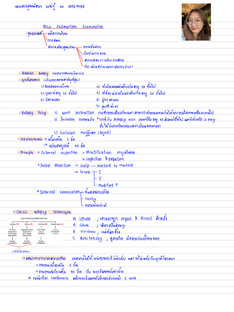 Basic Postmortem Examination | PDF