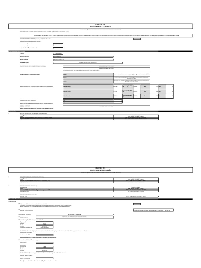 Formato 07a - C.N. San Pascual Ok | PDF