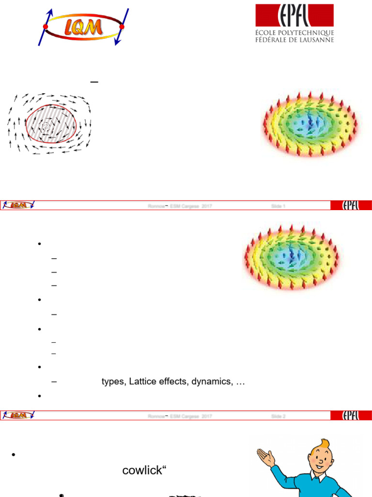 Ronnow Slides2 | PDF