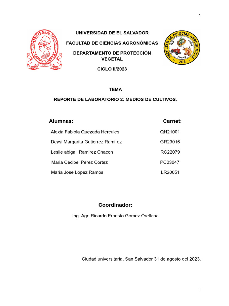 Informe Micro 2 | PDF