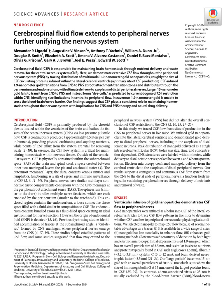 Cerebrospinal Fluid Flow Extends To Peripheral Nerves | PDF