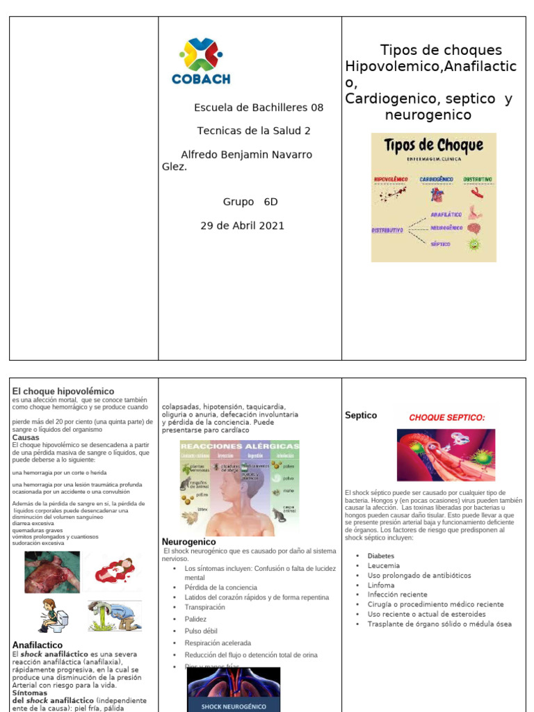 TRIPTICO DE Choques | PDF