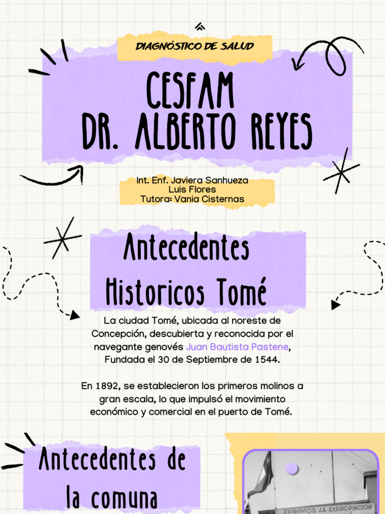 Diagnostico Cesfam Alberto Reyes Tomé | PDF