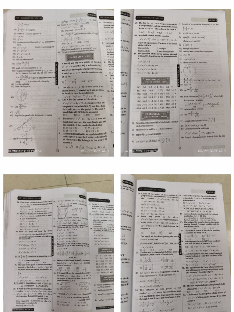 Circles Module 240905 0829 | PDF