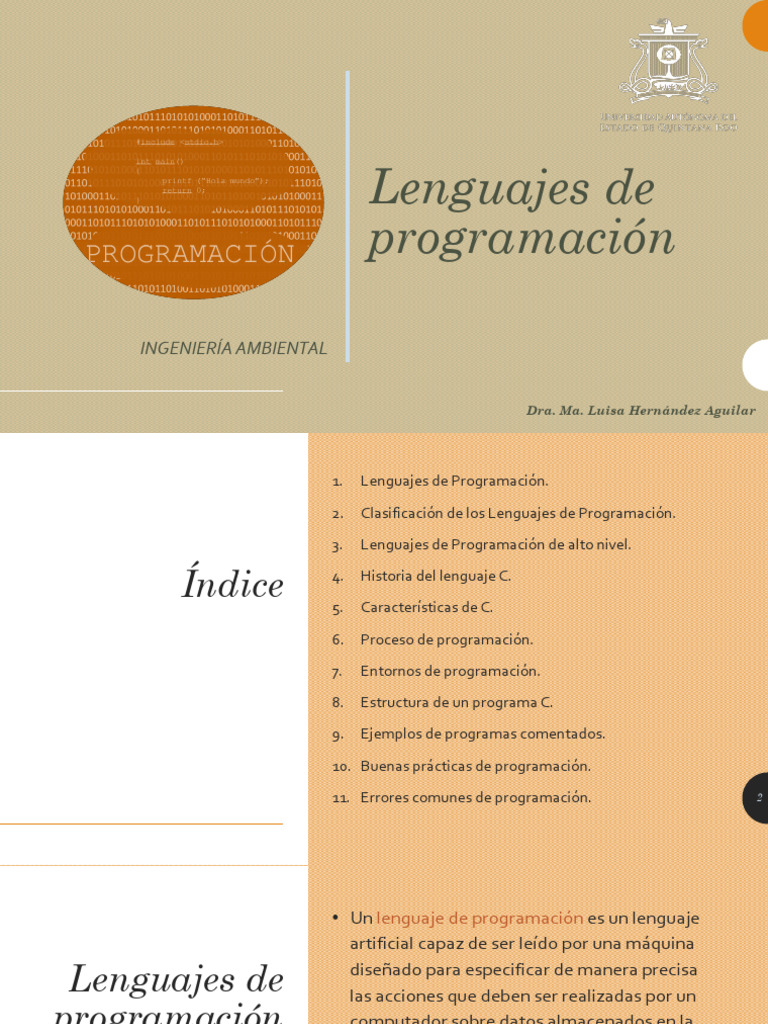 Lenguajes de Programación - Didáctico | PDF