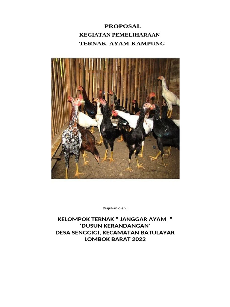PROPOSAL TERNAK AYAM KAMPUNG | PDF