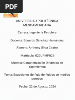 Manual Petrel Basico | PDF | Archivo de computadora | Ventana (informática)