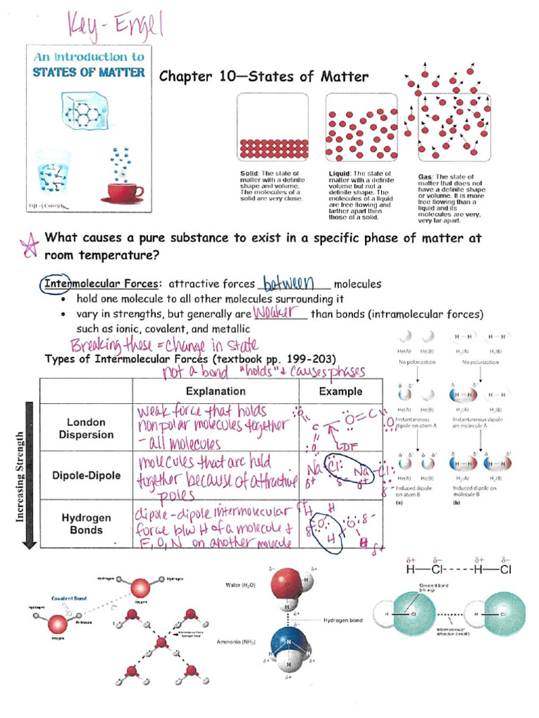 CH 10 Notes Key | PDF
