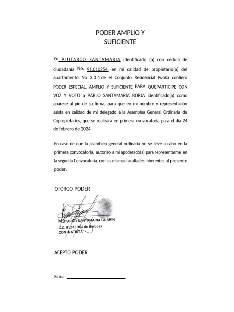 PODER AMPLIO Y SUFICIENTE | PDF