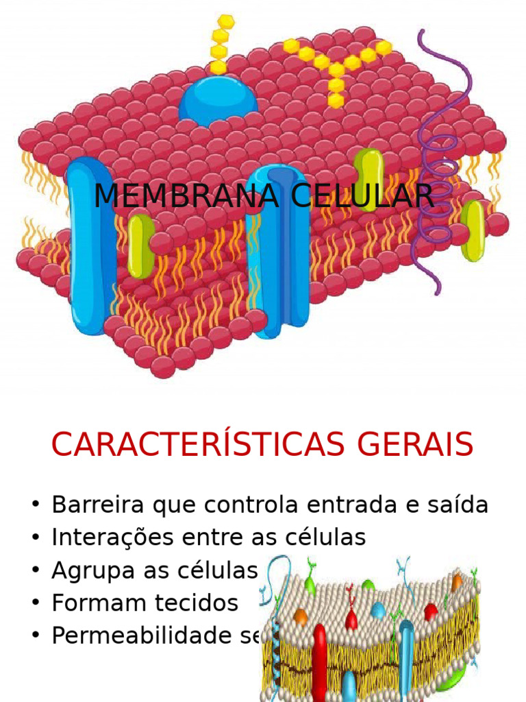 Membrana Celular | PDF