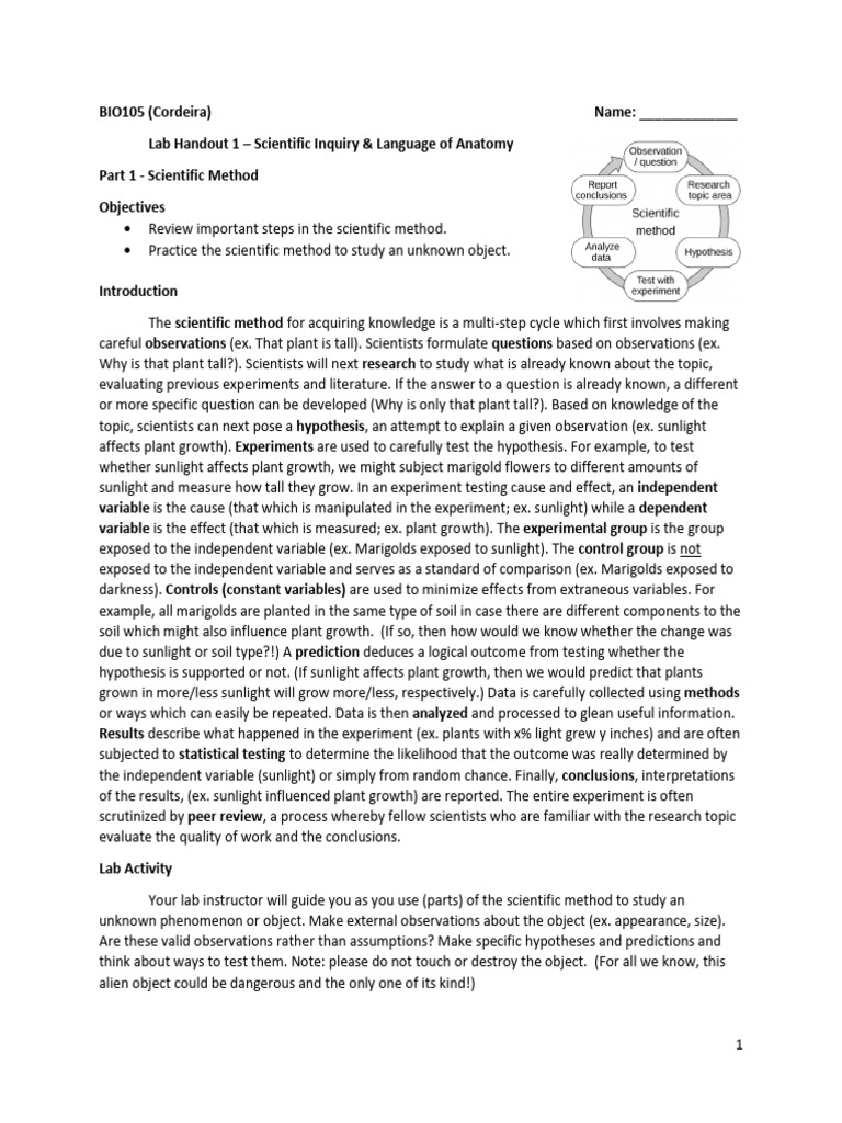 Lab 1 - Handout | PDF