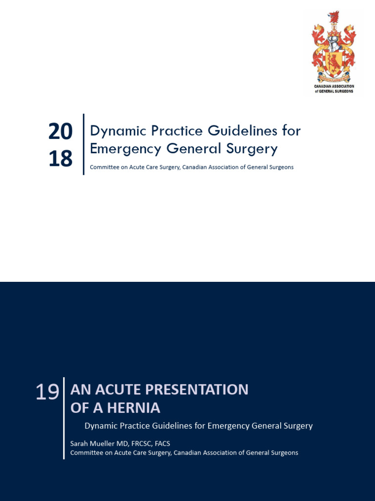 Hernia Technique Summary & Guidelines | PDF