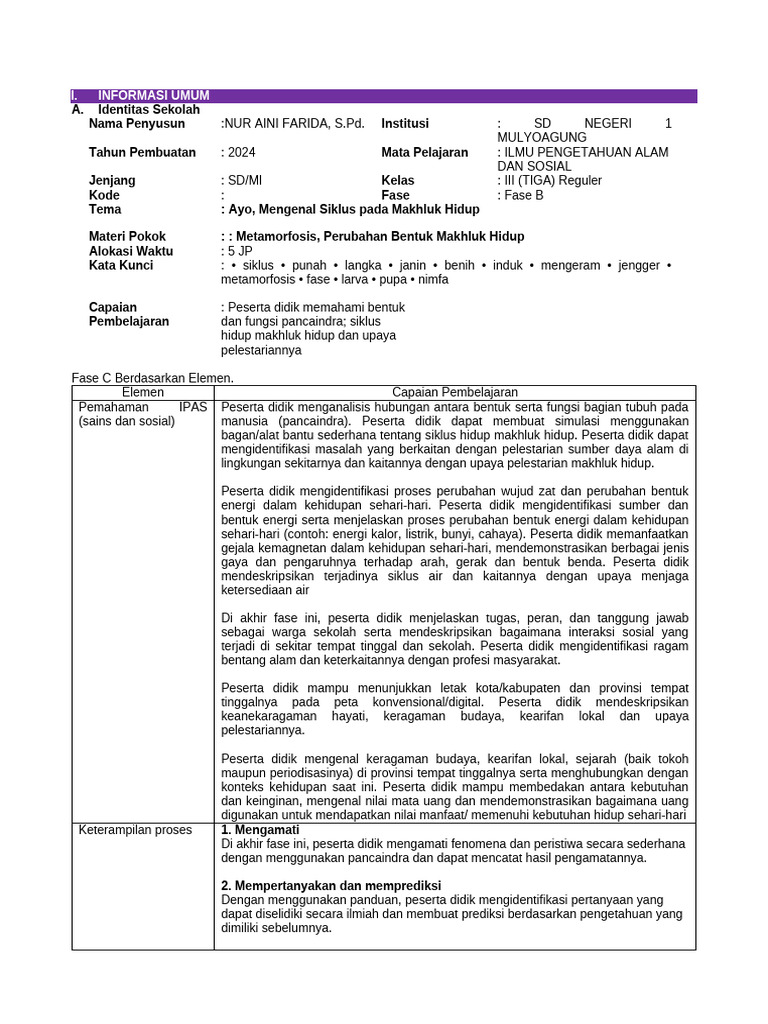 Ma Nur Aini Farida | PDF