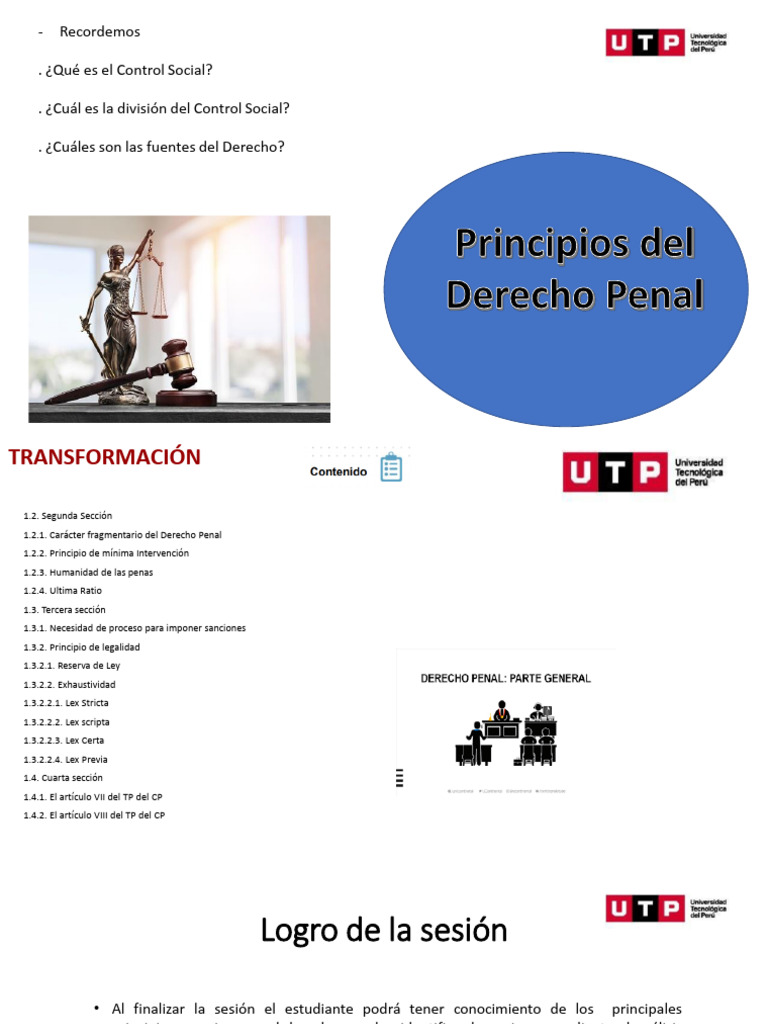 S03 S1 Principios Del Derecho Penal Pdf