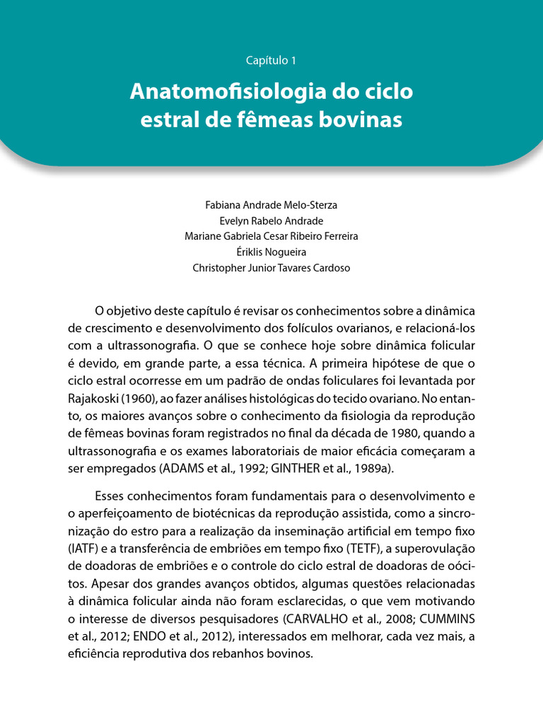 Ultrassonografica Cap1 | PDF