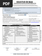 Formato de Control de Bajas | PDF