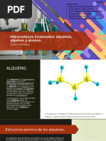 Sintesis Trioleina Completa | PDF