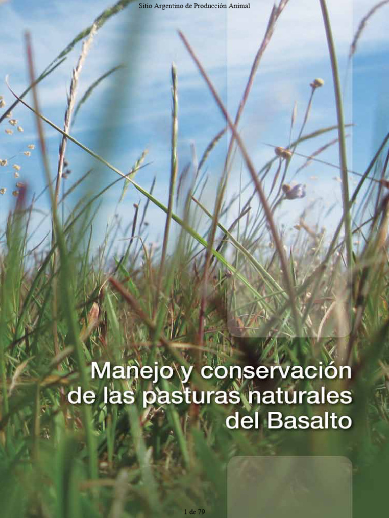 Pasturas de Basalto | PDF