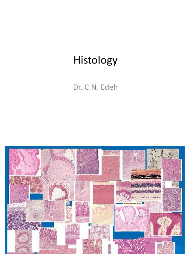 200 L Histology | PDF | Fixation (Histology) | Science & Mathematics
