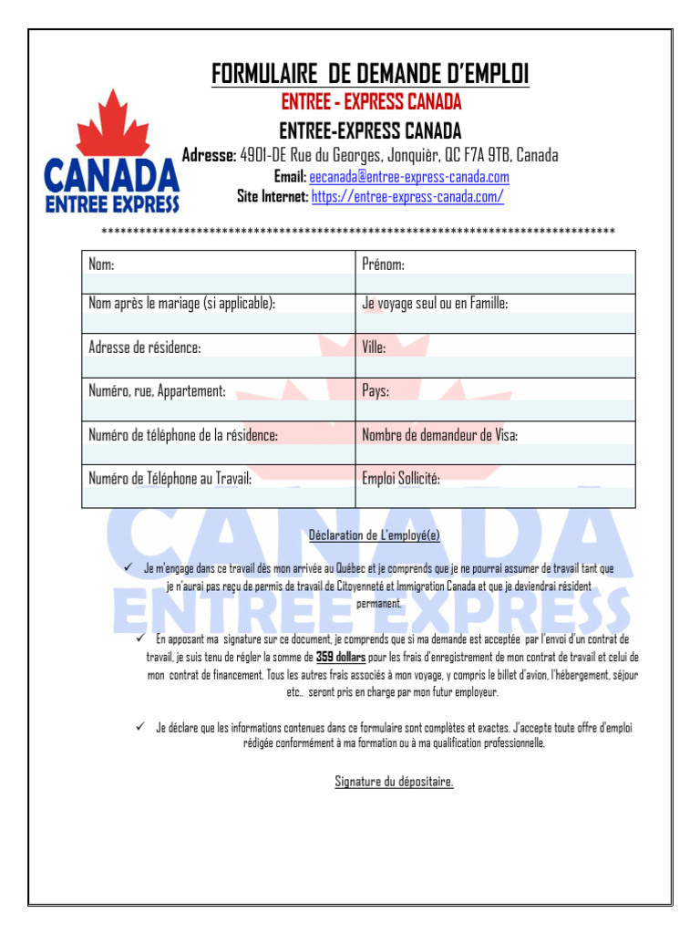 Formulaire de Demande Demploi Eec | PDF