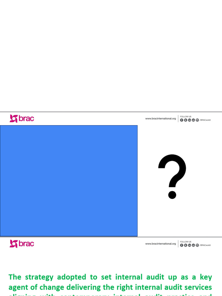 Internal Audit Strategy Formulation | PDF