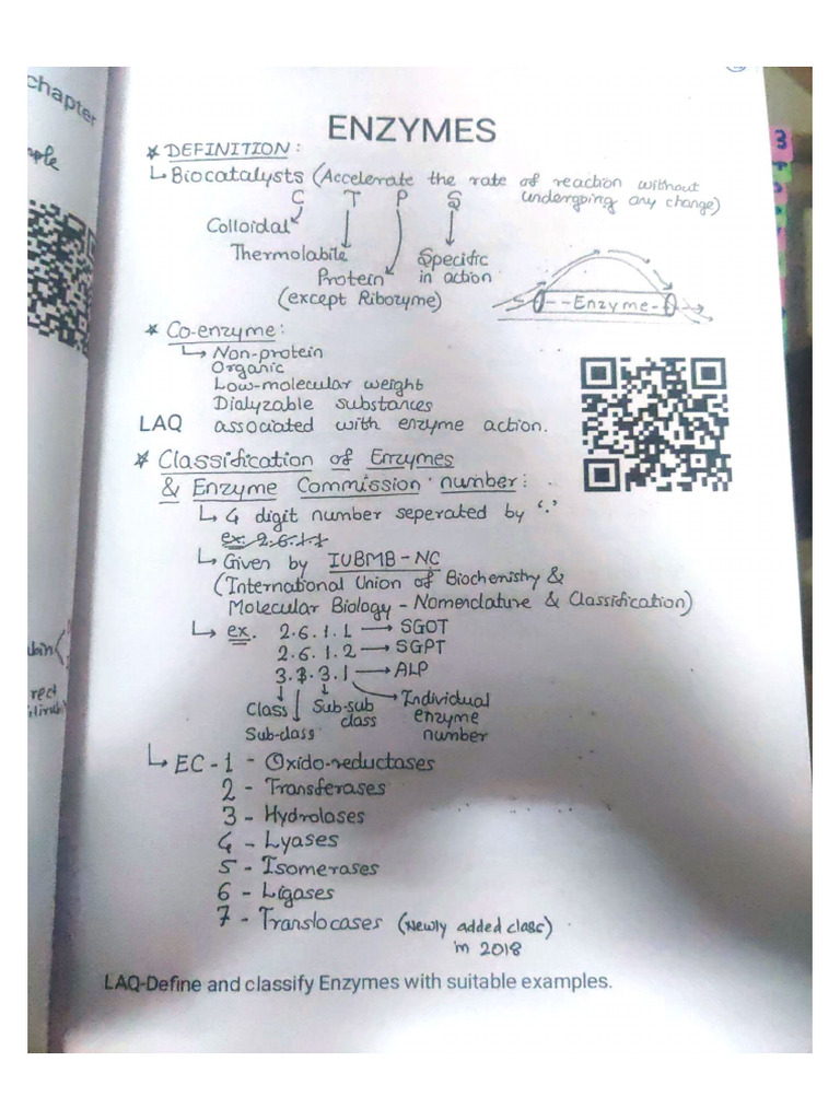 Enzymes Johari MBBS Lectures | PDF