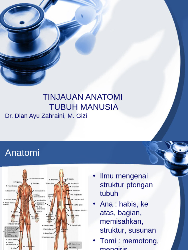Tinjauan Anatomi Tubuh Manusia | PDF