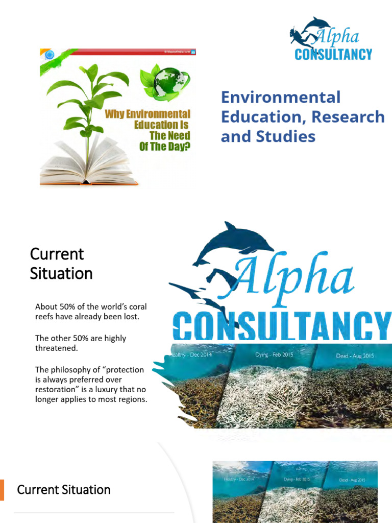 Alpha Consultancy Profile 2024 | PDF