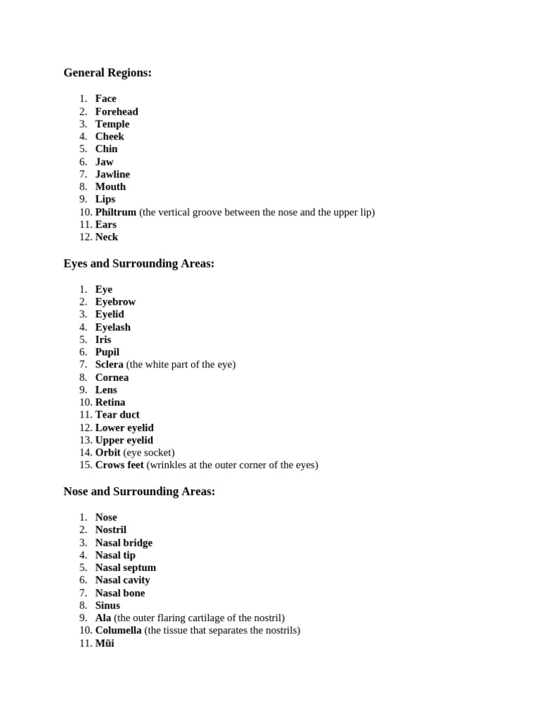General Regions Face | PDF