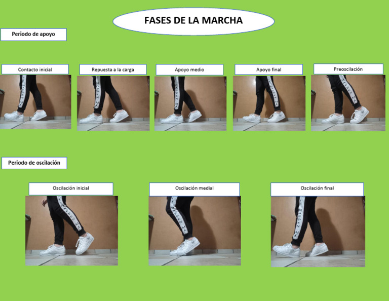 Fases de La Marcha | PDF