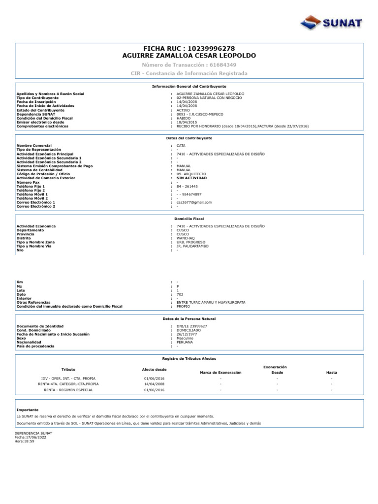 Ficha Ruc | PDF