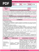 Planeación "Las Vocales" | PDF