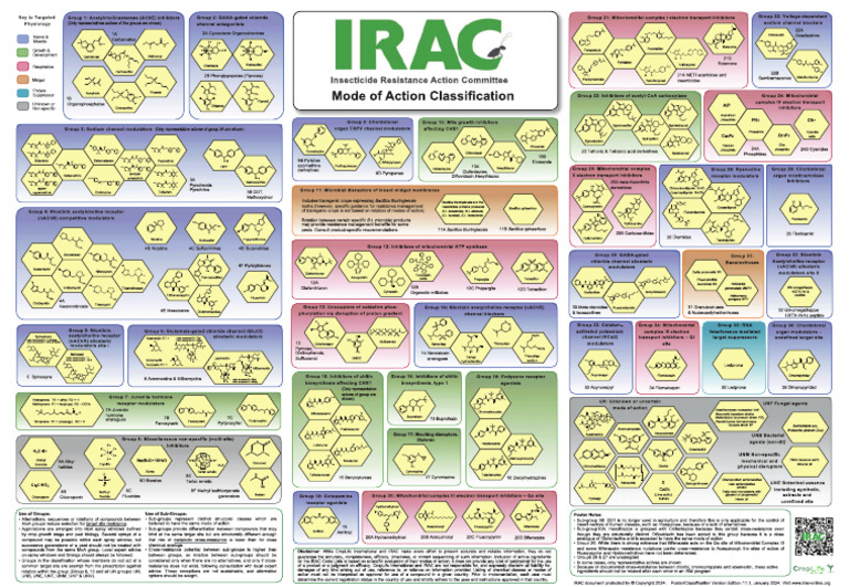 Eng Moa Structure Poster Ed11.1 30jan24-3ok | PDF