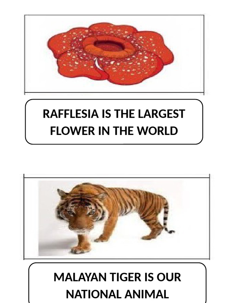 Bahan Hip Print | PDF