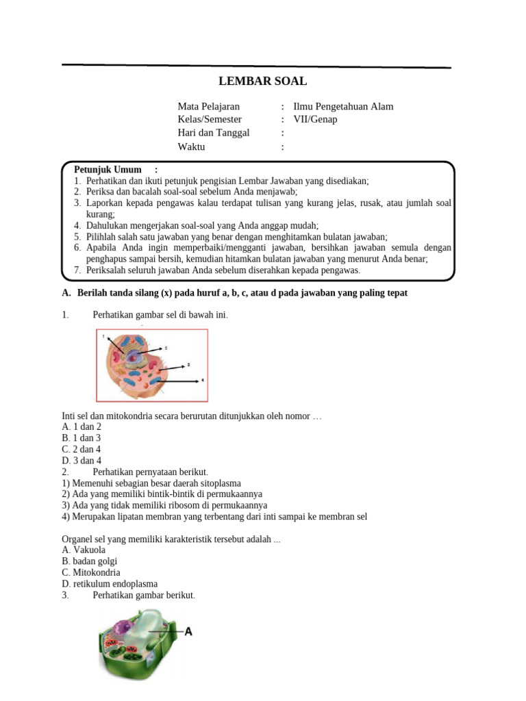 PTS 2 IPA Kelas VII | PDF