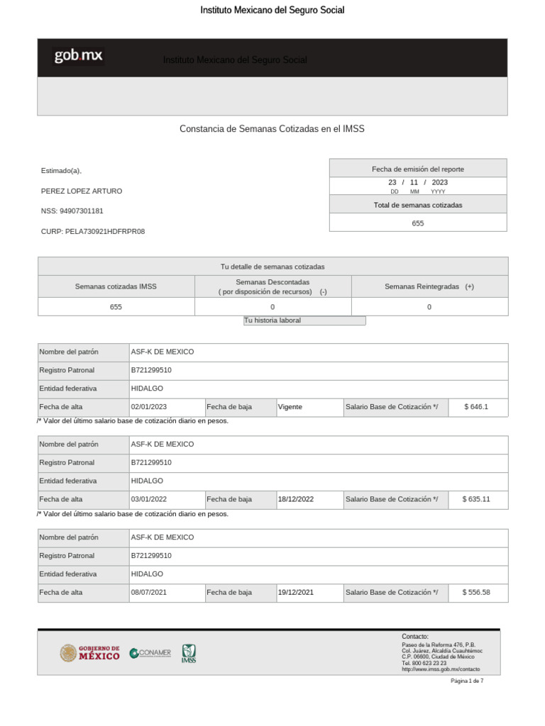 Reporte Semanas Cotizadas | PDF
