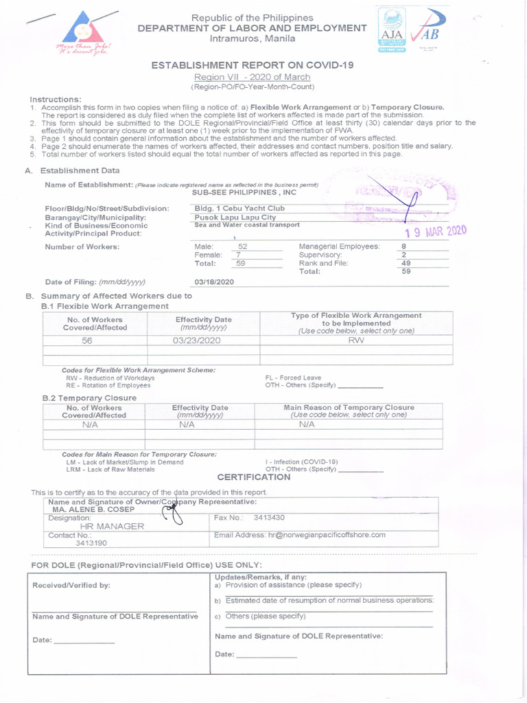 COVID 19 DOLE Establishment Report | PDF
