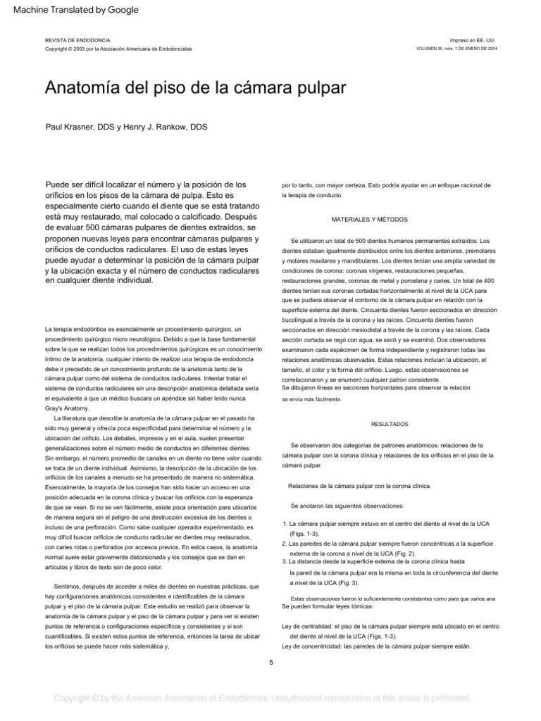Anatomy of The Pulp Chamber Floor | PDF